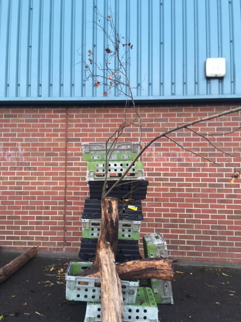 Taskmaster in the Classroom | James Blake-Lobb's Blog