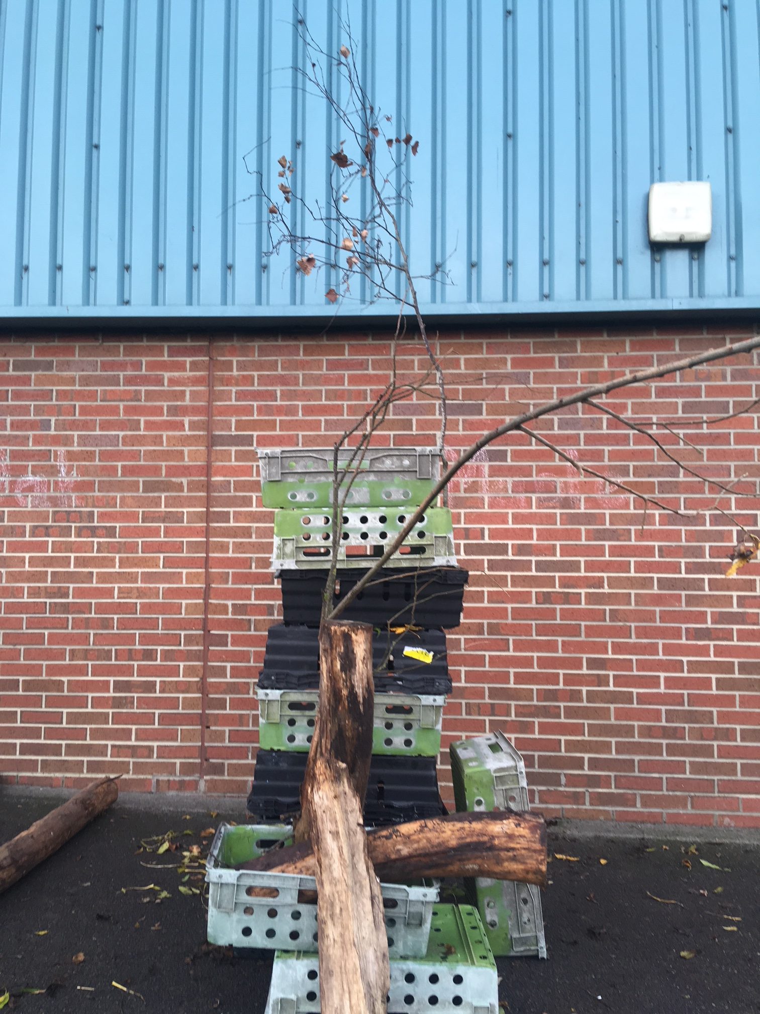 Taskmaster in the Classroom | James Blake-Lobb's Blog